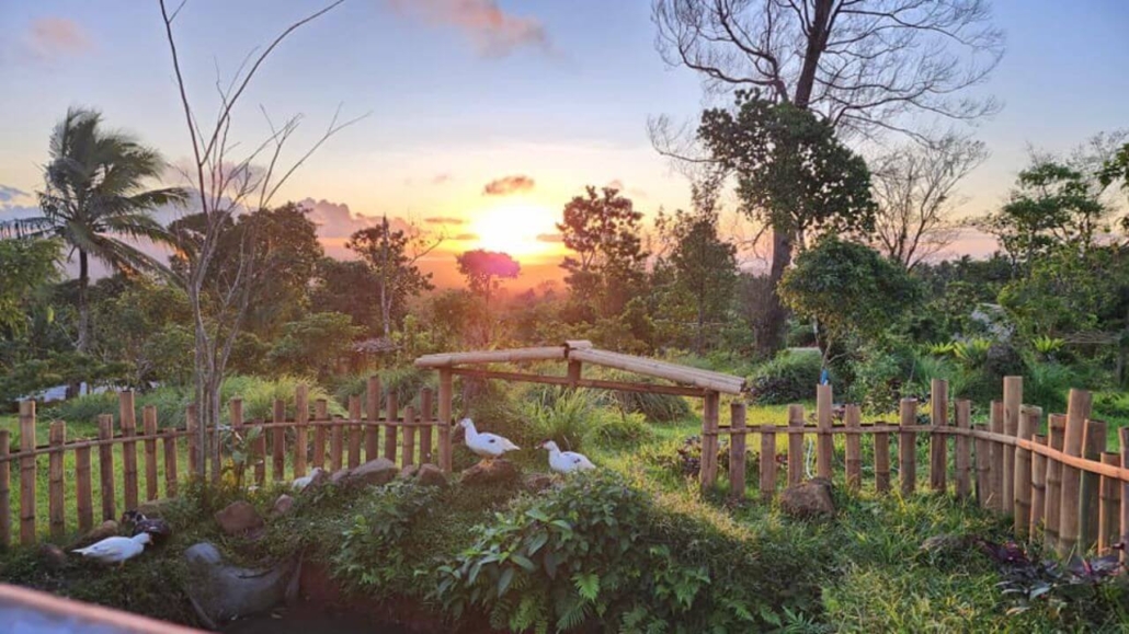 Habilin Farms | Permaculture And Diversified Farmstay